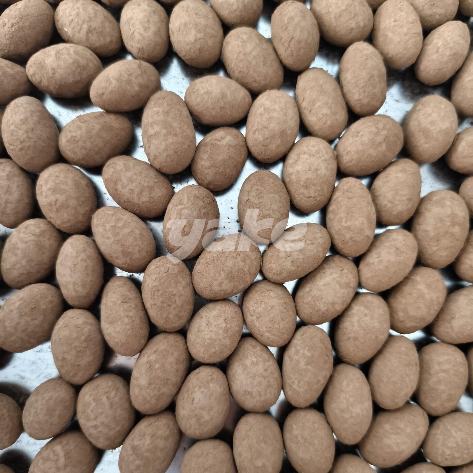 Cocoa-Dusted Chocolate Almonds - ChinaCandyFactory.com